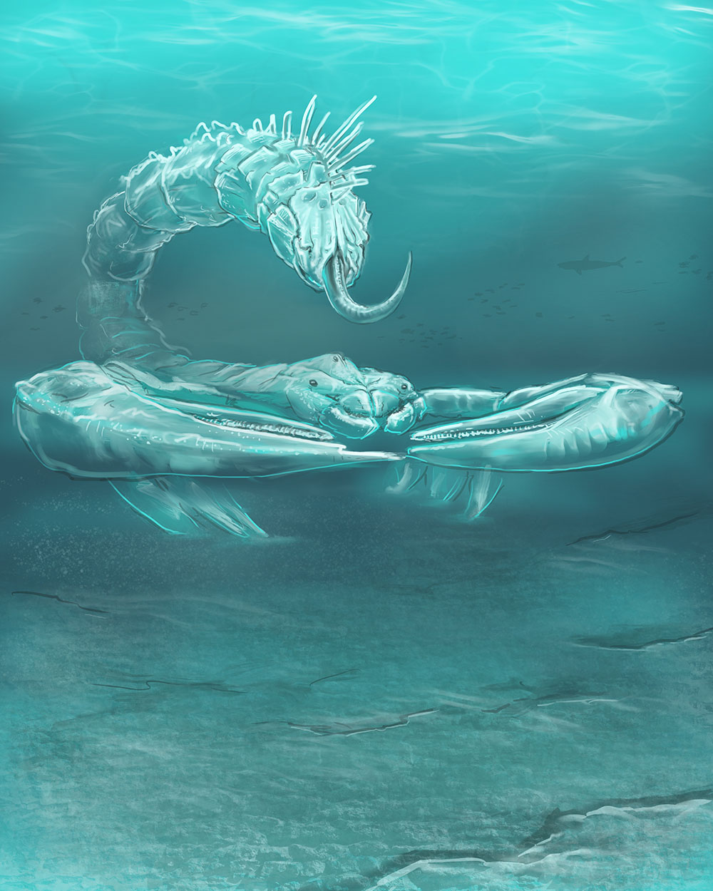 Scorpio zodiac sign water 60 photos - Astrologytoyou.com